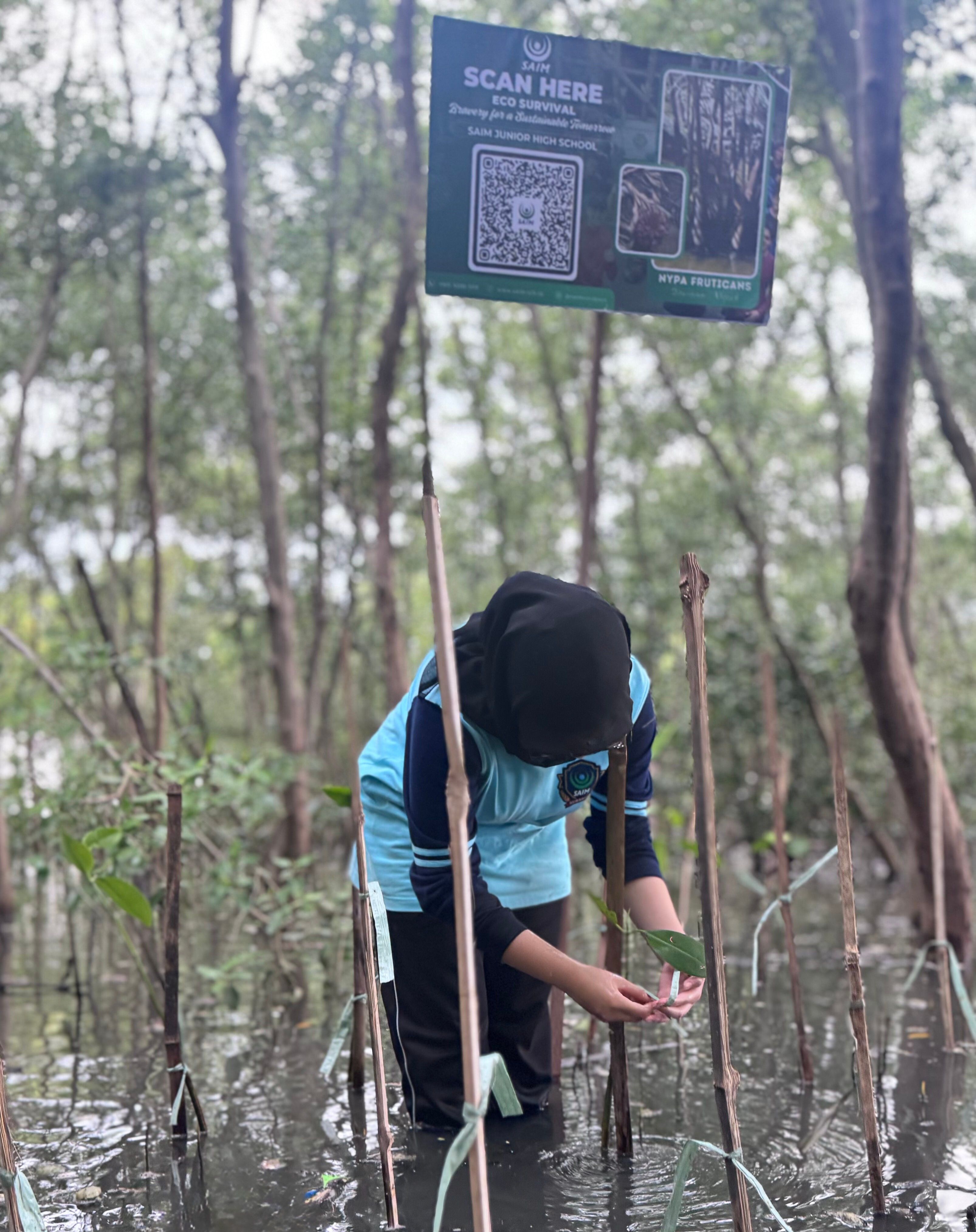 SMP SAIM: Membuat Papan Barcode Mangrove - SAIM
